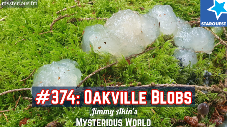 The Oakville Blobs - Jimmy Akin's Mysterious World